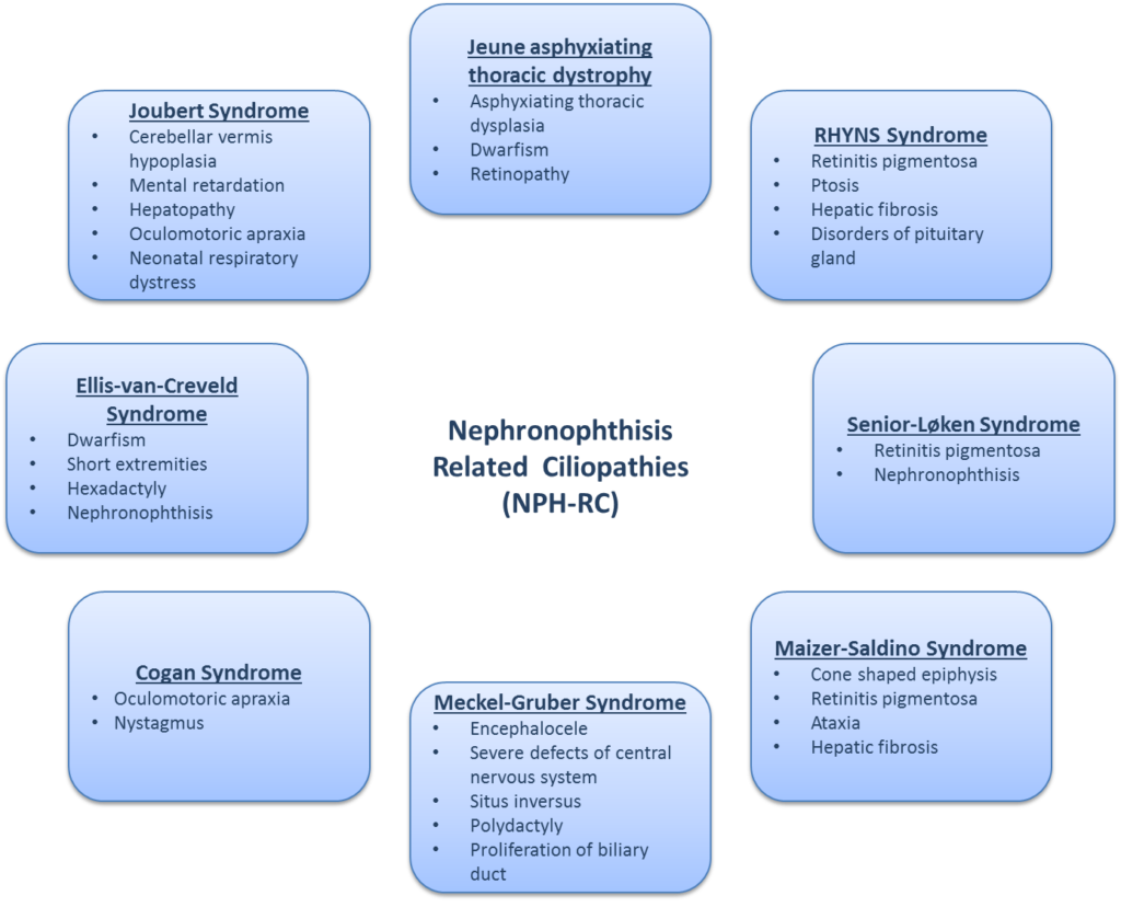 NEPHRONOPHTHISIS AND EXTRARENAL SYMPTOMS – NEOCYST